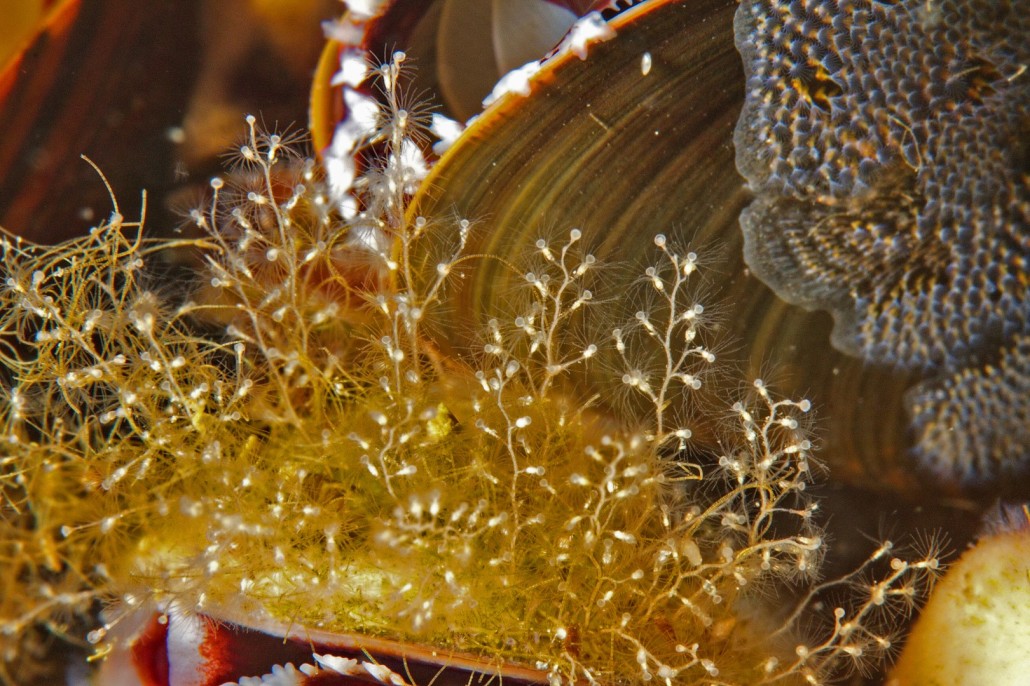 Wissenswertes – abgrundtiefbunt