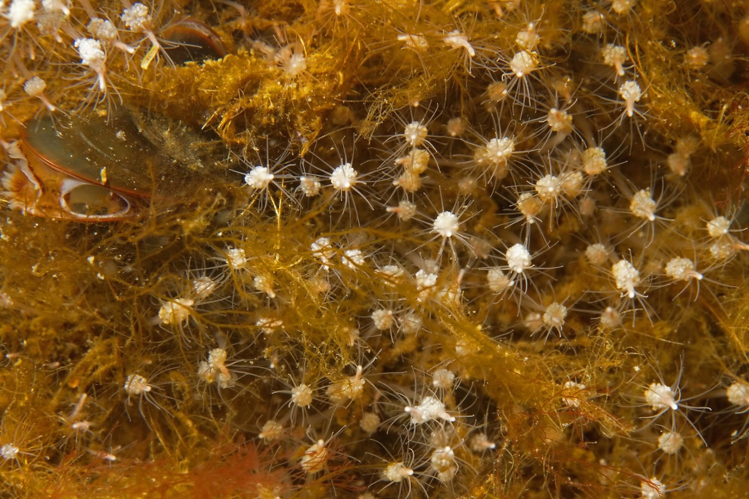 Wissenswertes – abgrundtiefbunt